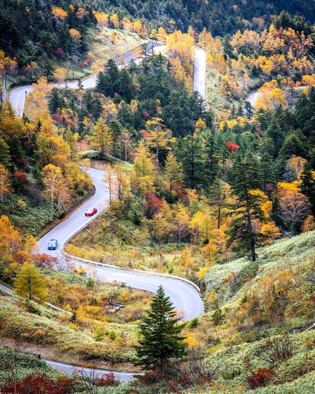 Solve gunma-Autumn_leaves_winding_road_Nakanojo_Town jigsaw puzzle ...