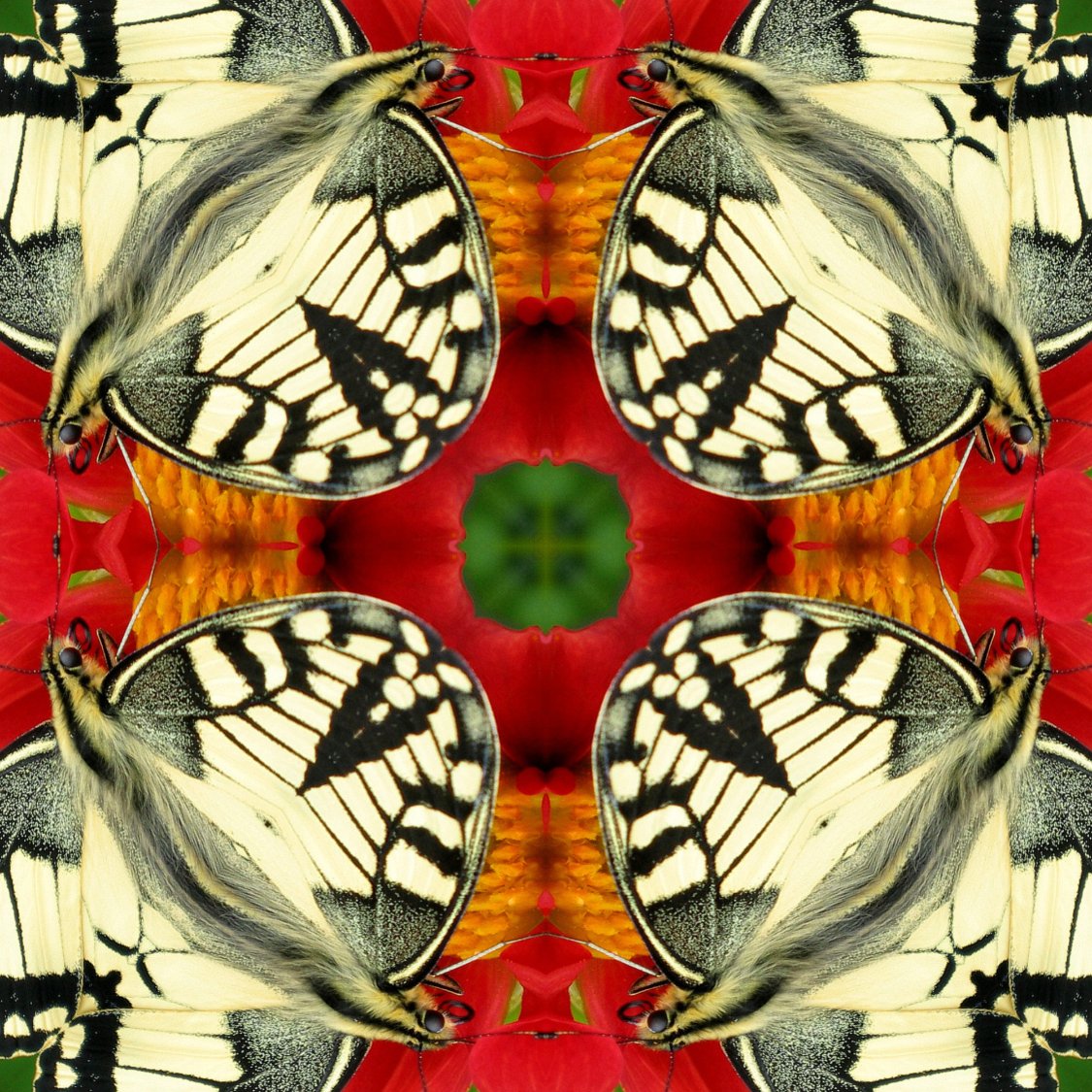 Solve #1 very small jigsaw puzzle online with 25 pieces