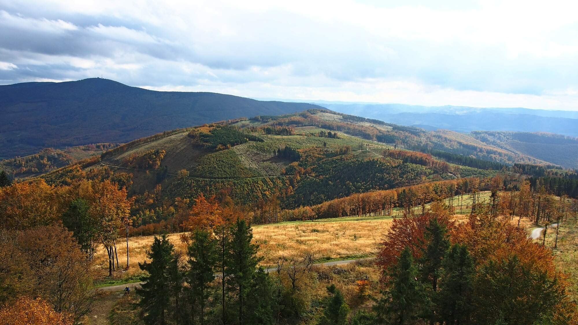 Solve 181 Jigsaw Puzzle Online With 144 Pieces