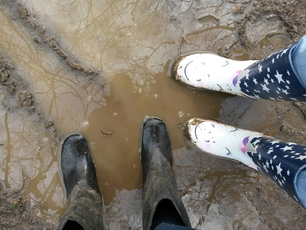 Solve Unicorn - Wellies REQUIRED jigsaw puzzle online with 108 pieces