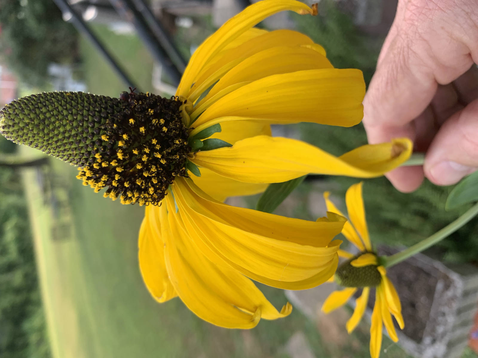 Solve Big One jigsaw puzzle online with 540 pieces