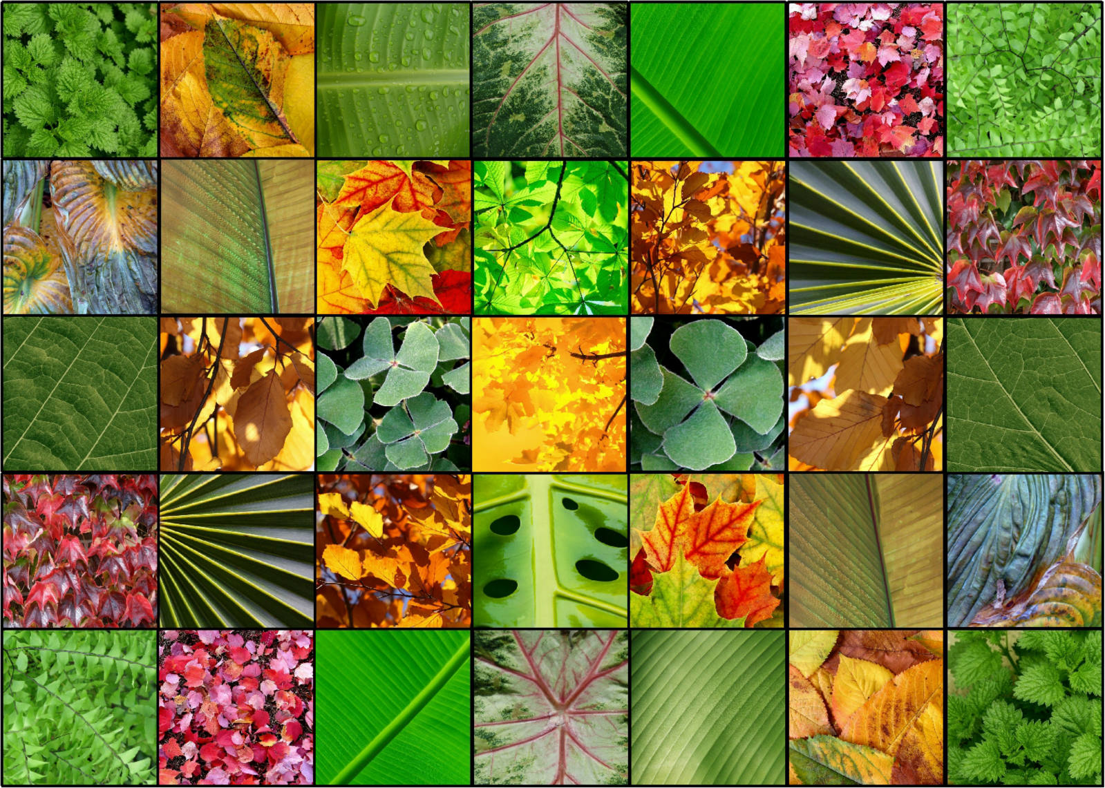 Solve Leaves jigsaw puzzle online with 408 pieces
