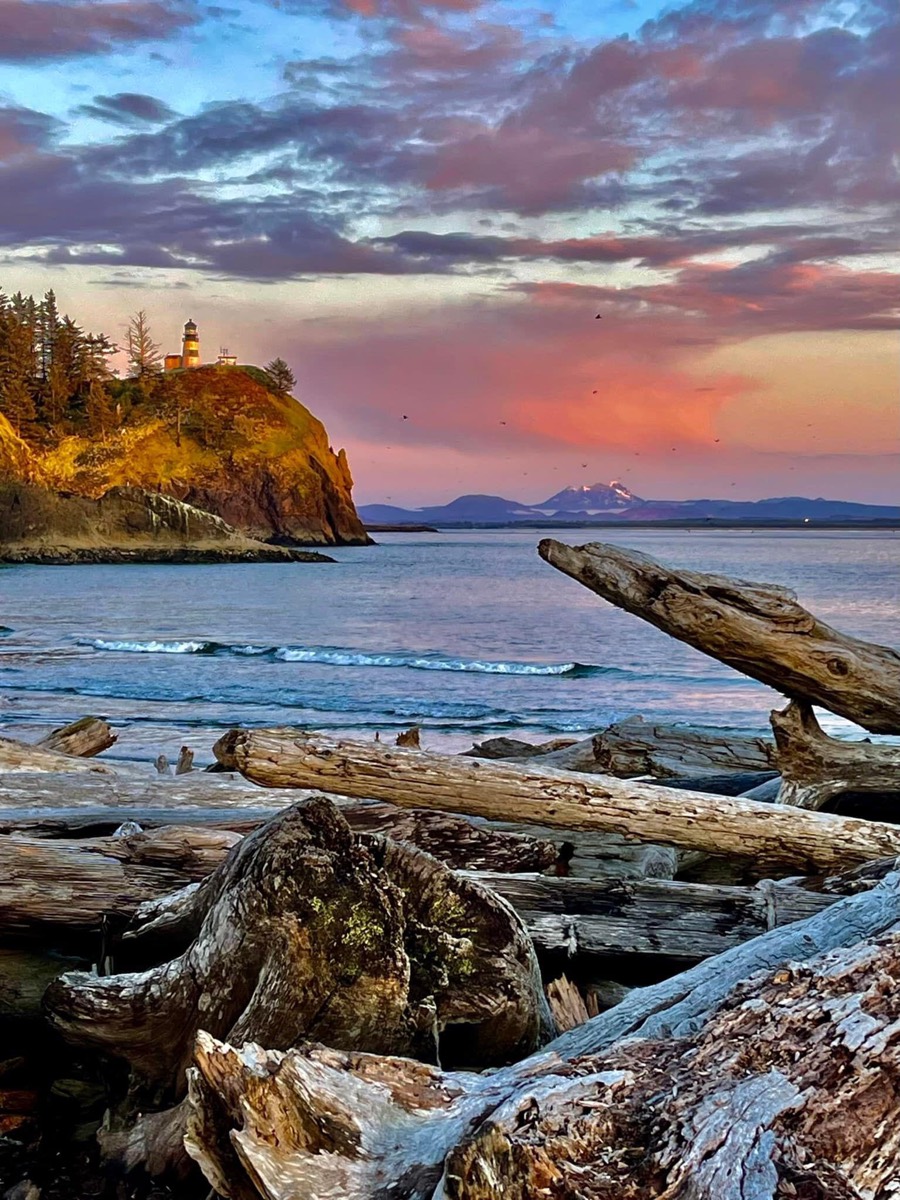 Solve Oregon jigsaw puzzle online with 221 pieces