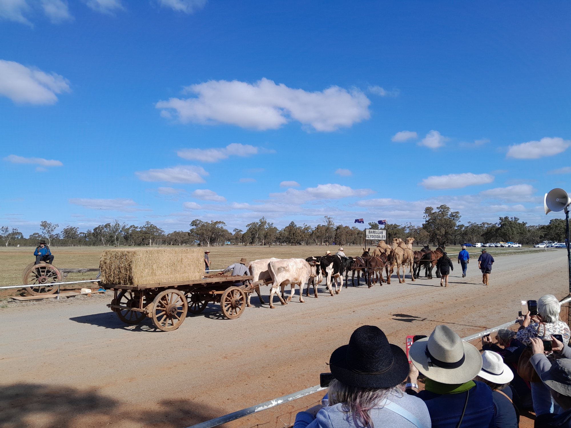 Solve At Barellan Good Old Days festival, NSW, Aus jigsaw puzzle online ...