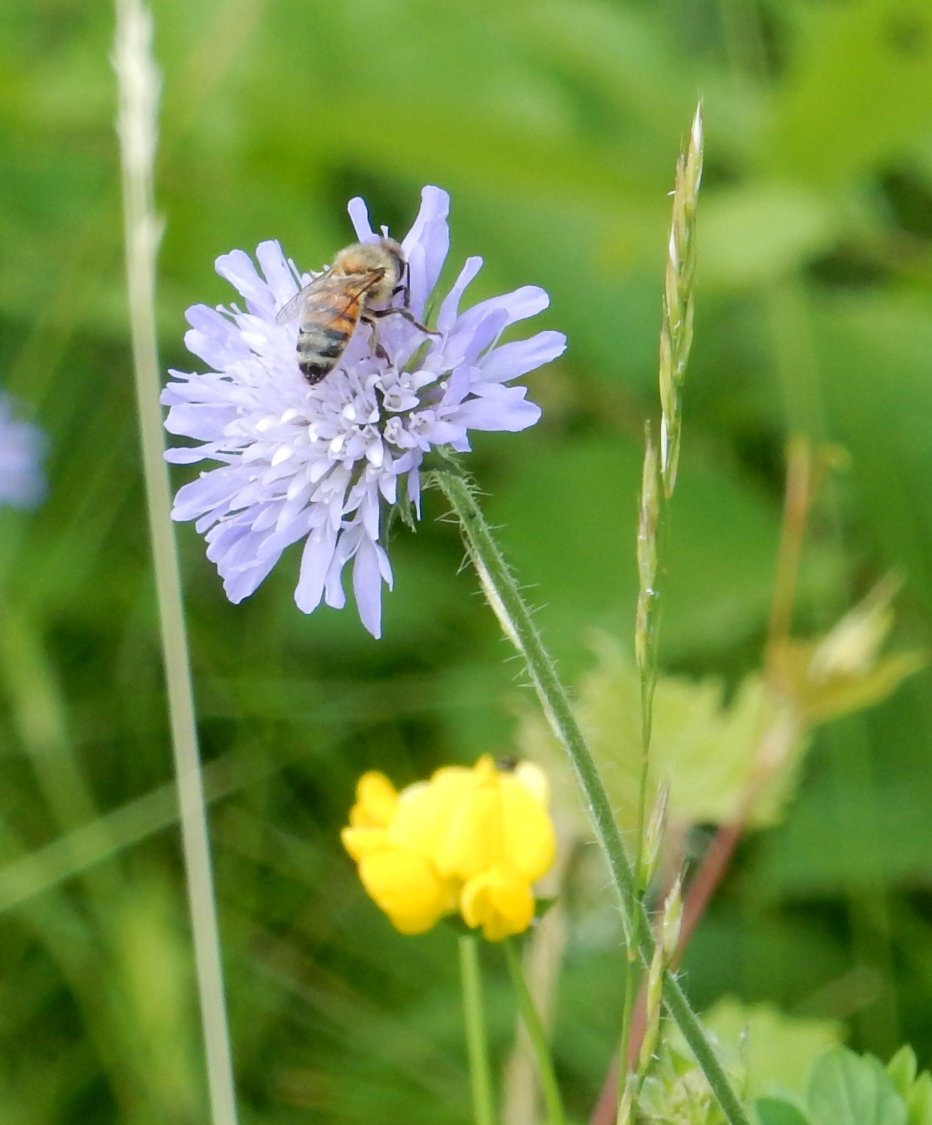 Solve Summertime jigsaw puzzle online with 20 pieces