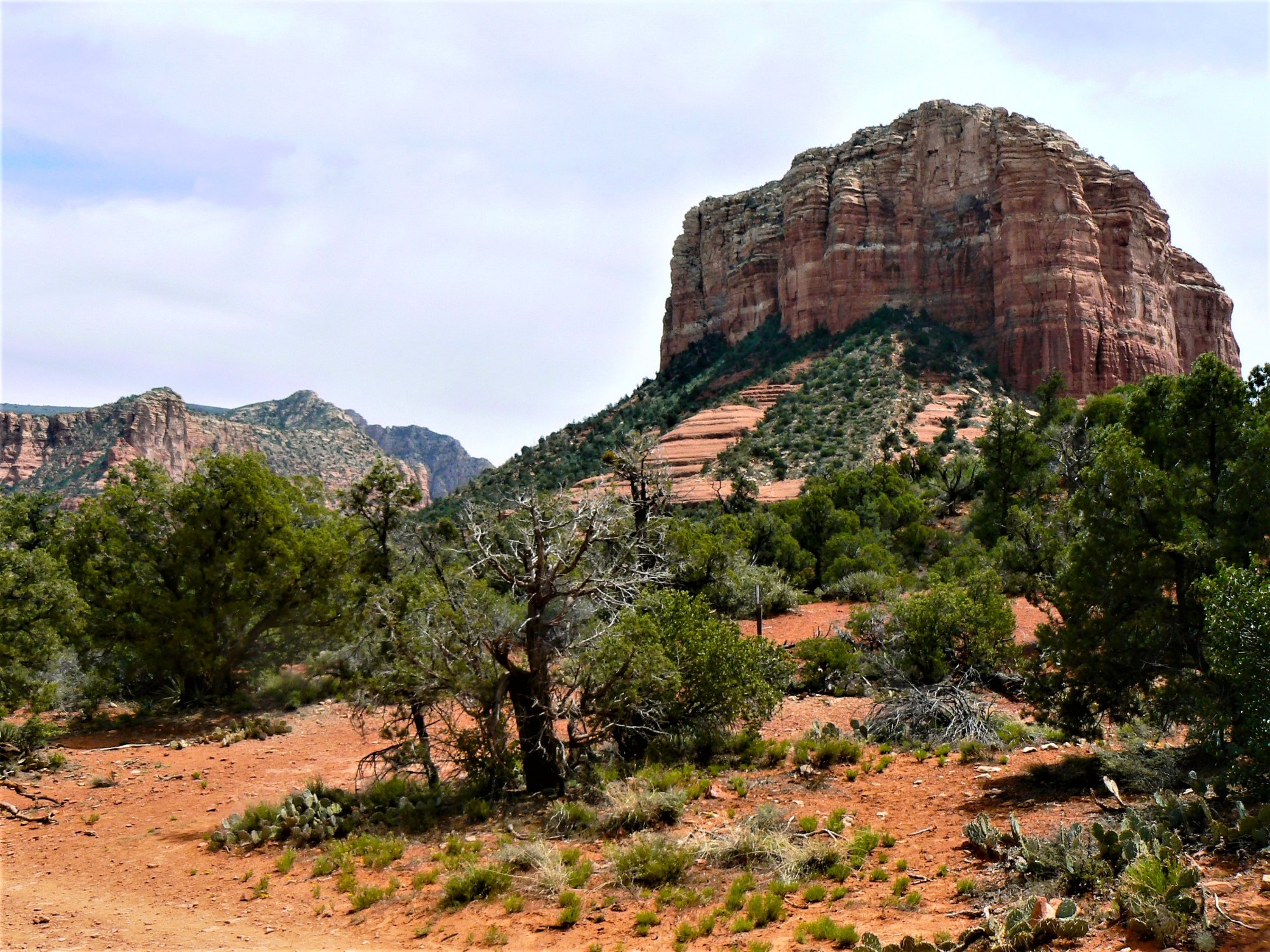 Solve Red rocks at Sedona, Arizona jigsaw puzzle online with 154 pieces