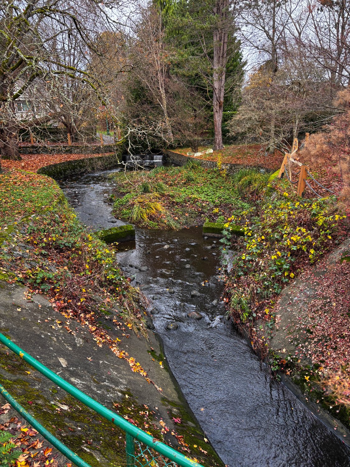 Solve Bowker Creek, an urban stream in Victoria BC jigsaw puzzle online ...