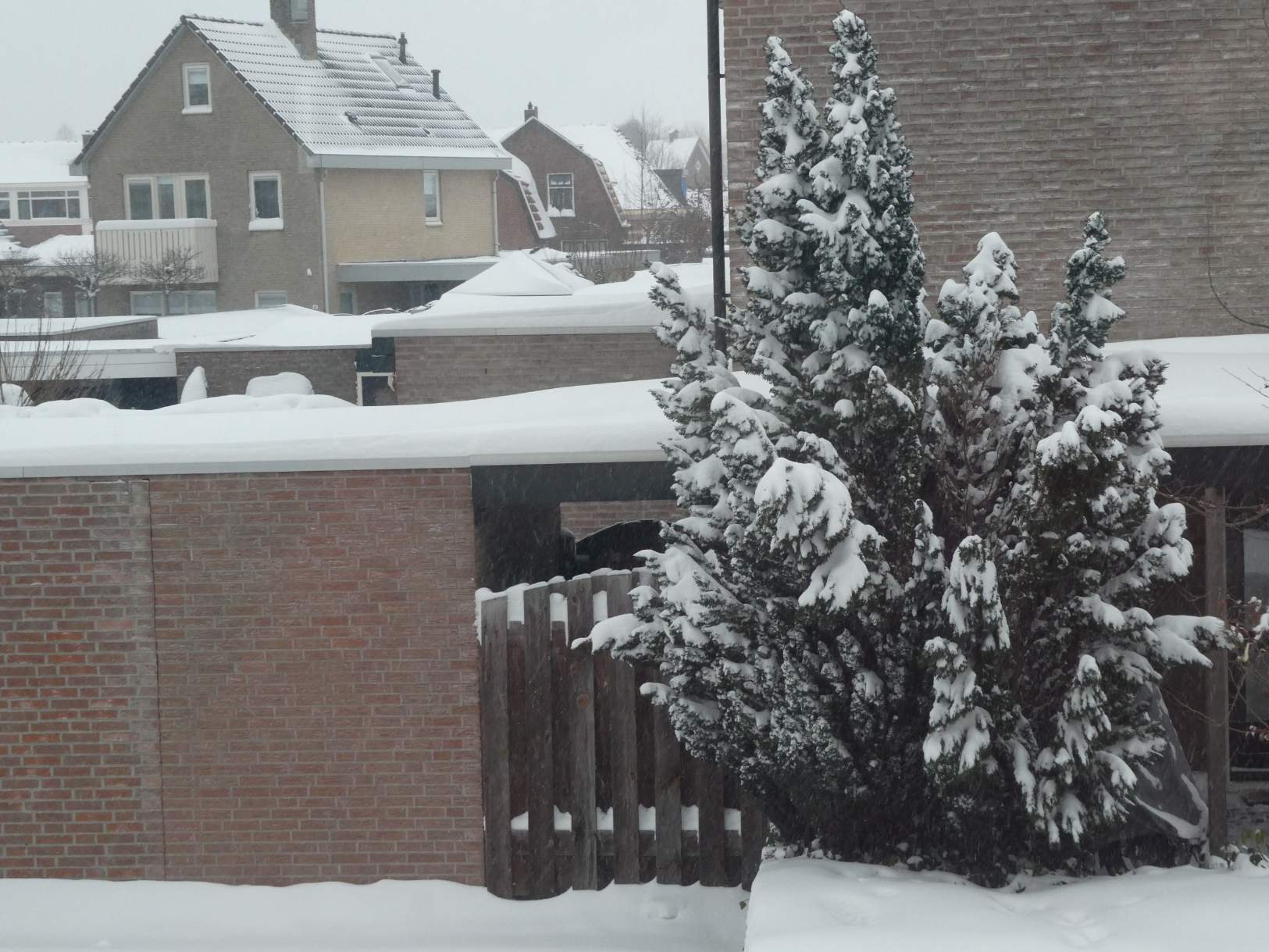 Solve After the snow storm Darcy, in Winterswijk jigsaw puzzle online ...