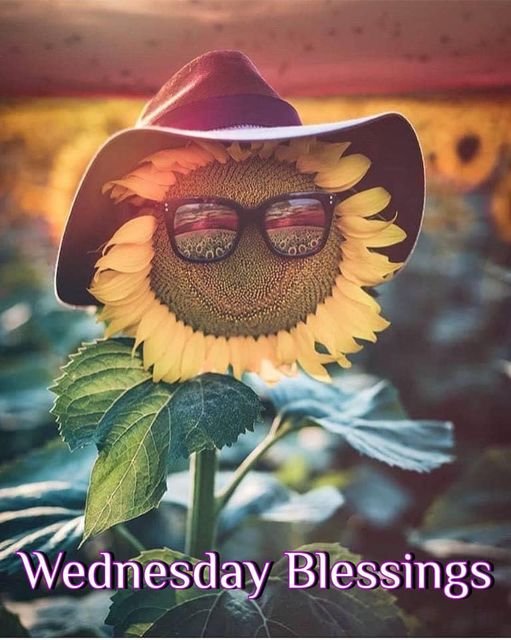 Solve Good Morning - Wednesday Blessings! jigsaw puzzle online with 63 ...