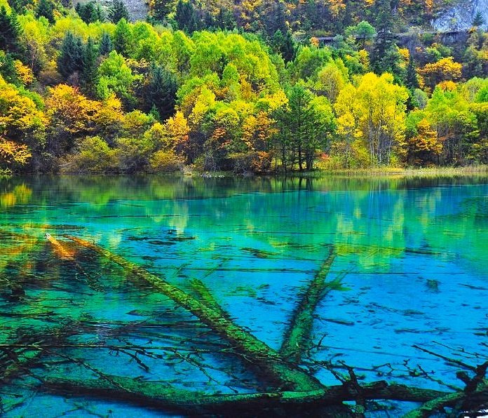 Solve Five flower lake - China jigsaw puzzle online with 56 pieces