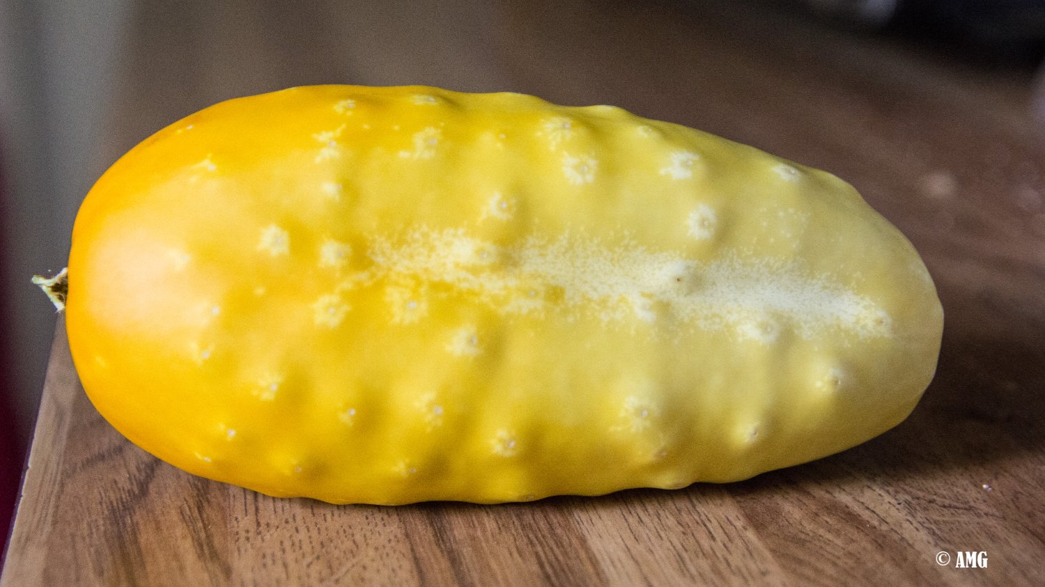 Solve White Cucumber jigsaw puzzle online with 15 pieces