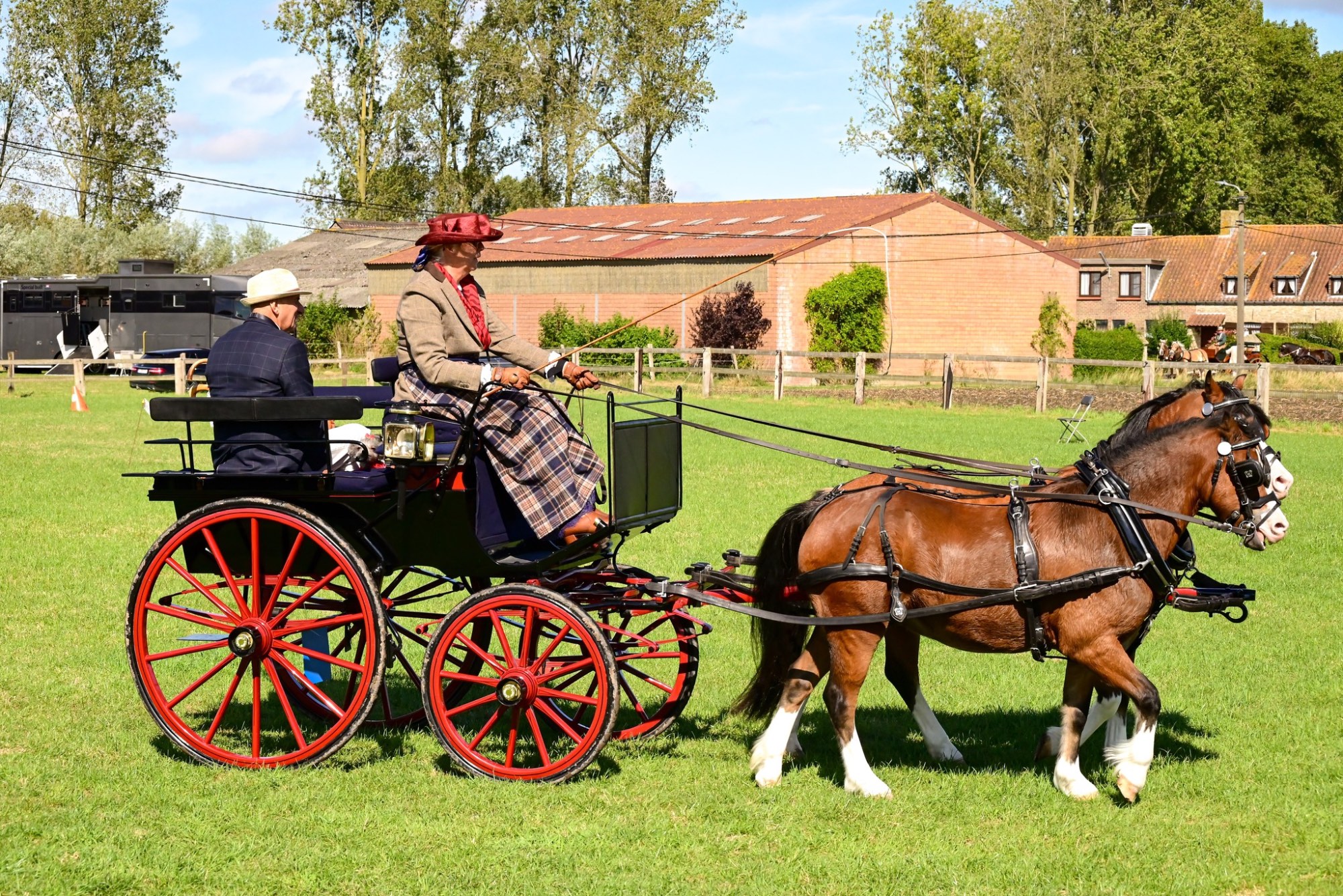 Solve paard en koets - jigsaw puzzle online with 294 pieces