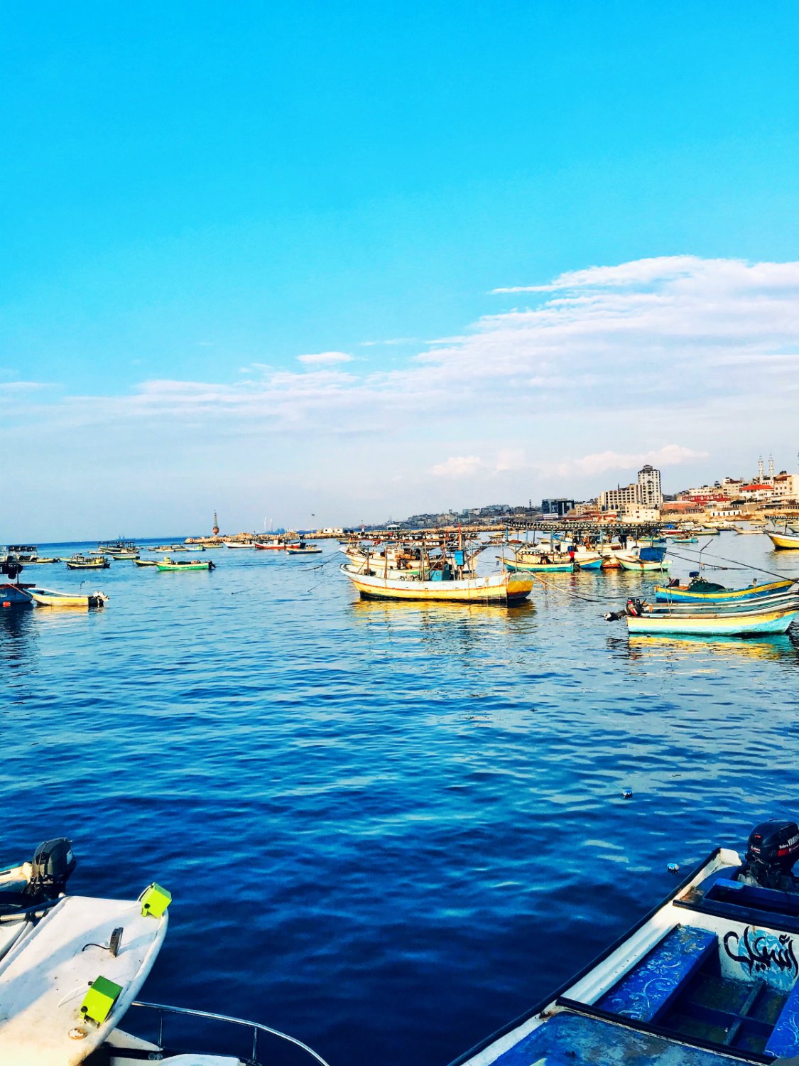 Solve Gaza City Port as it was jigsaw puzzle online with 48 pieces