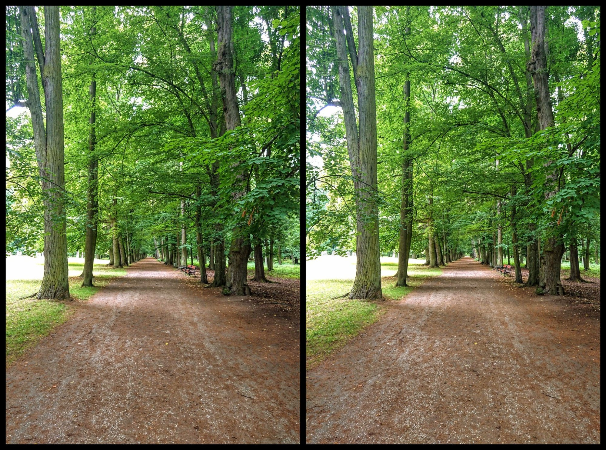 Solve Parallel View for Depth Perspective jigsaw puzzle online with 594 ...