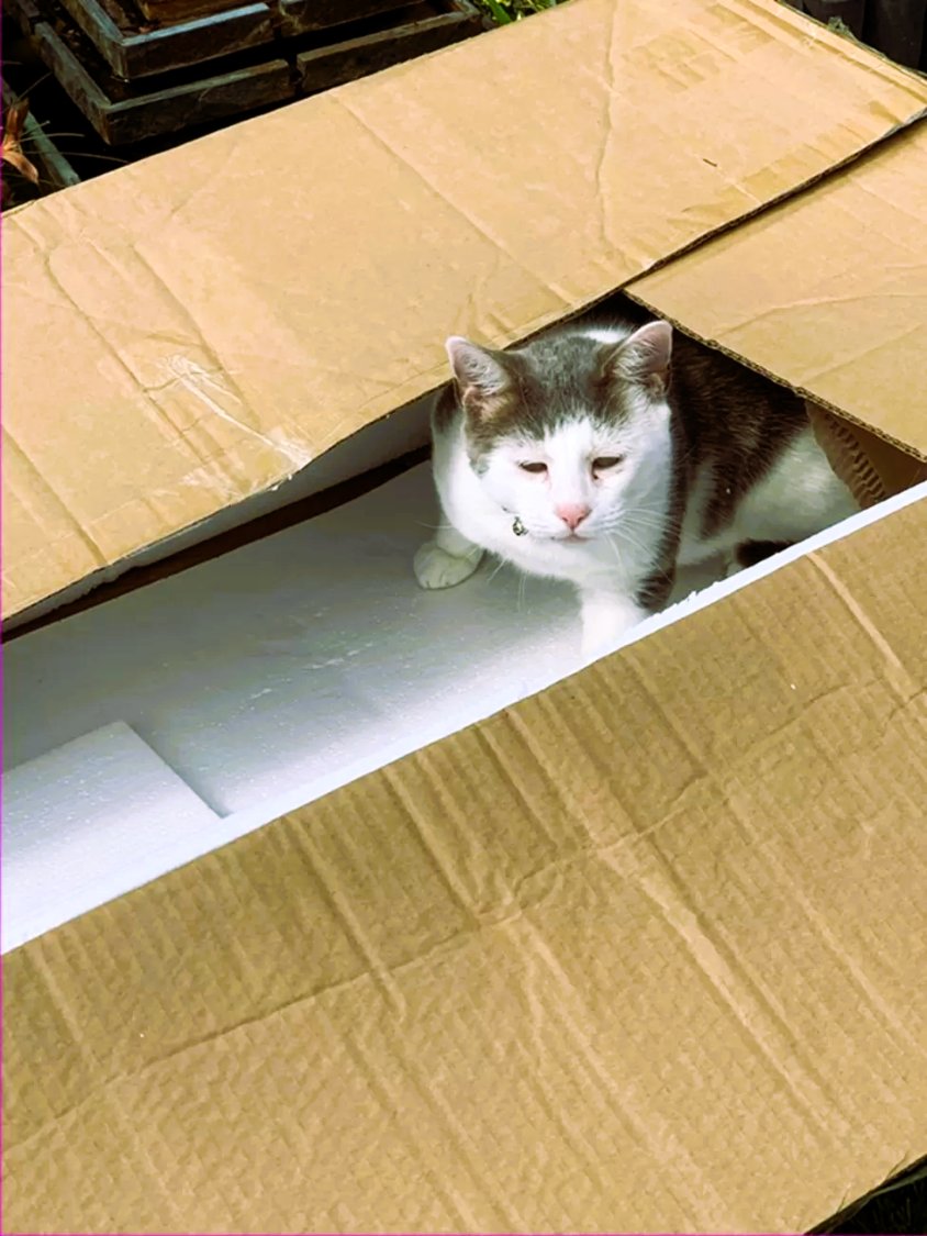 Solve RECYCLING IDEAS FROM AROUND THE WORLD - 3 OF 4 jigsaw puzzle ...