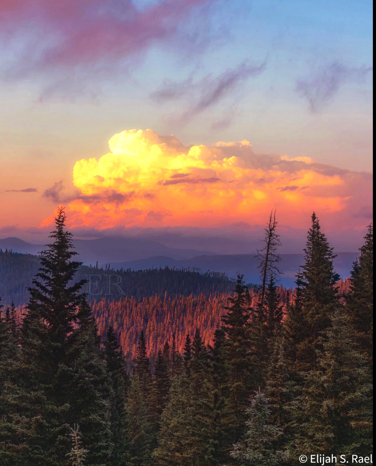 Solve Carson National Forest near Taos,NM USA. jigsaw puzzle online ...