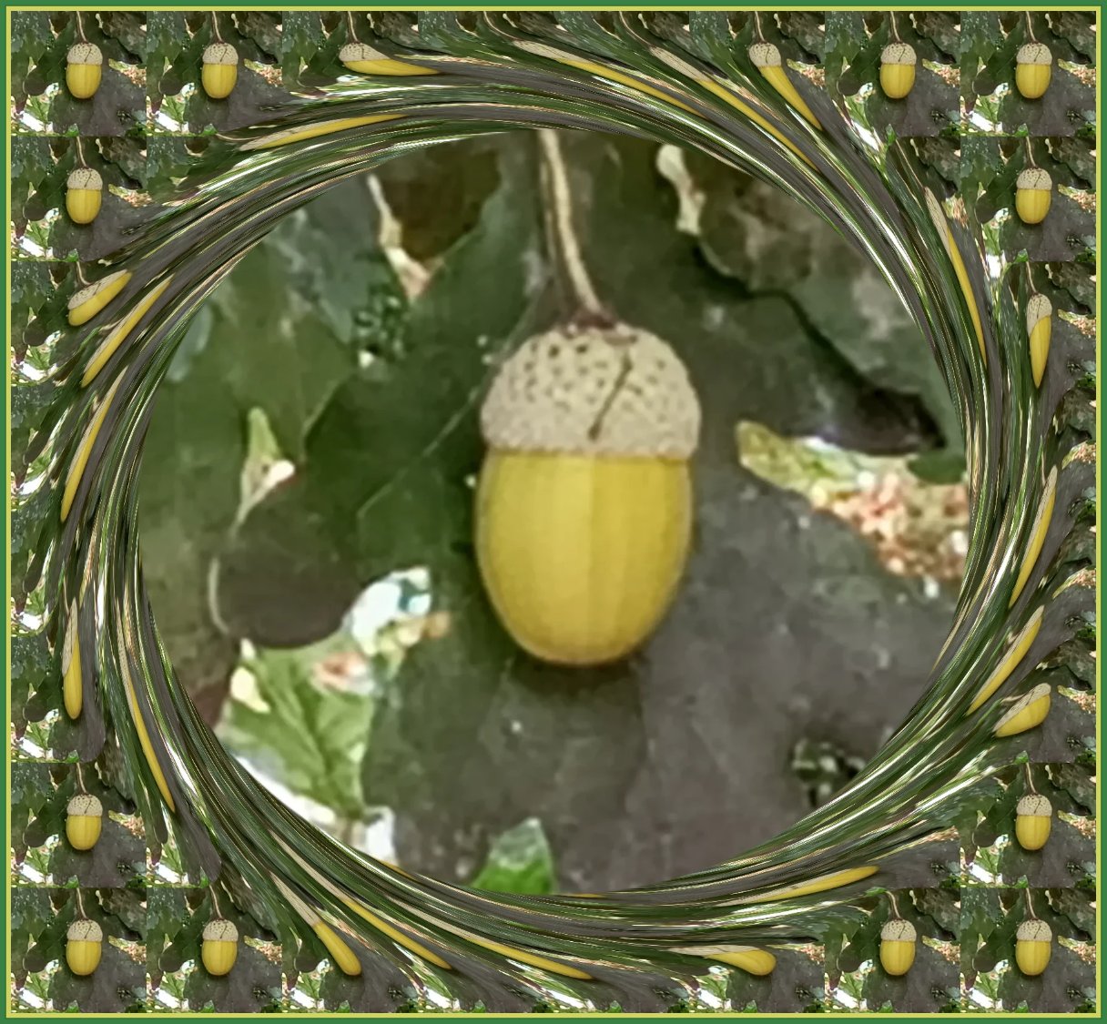 Solve Podzim - dub - žalud / Autumn - Oak - Acorn jigsaw puzzle online ...