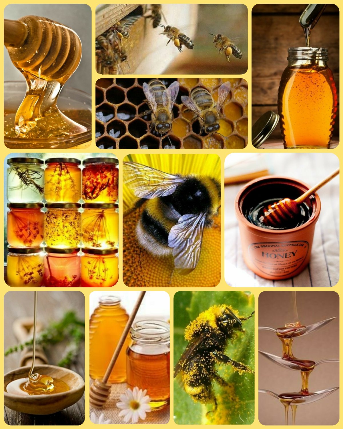 Solve Honey honey jigsaw puzzle online with 99 pieces