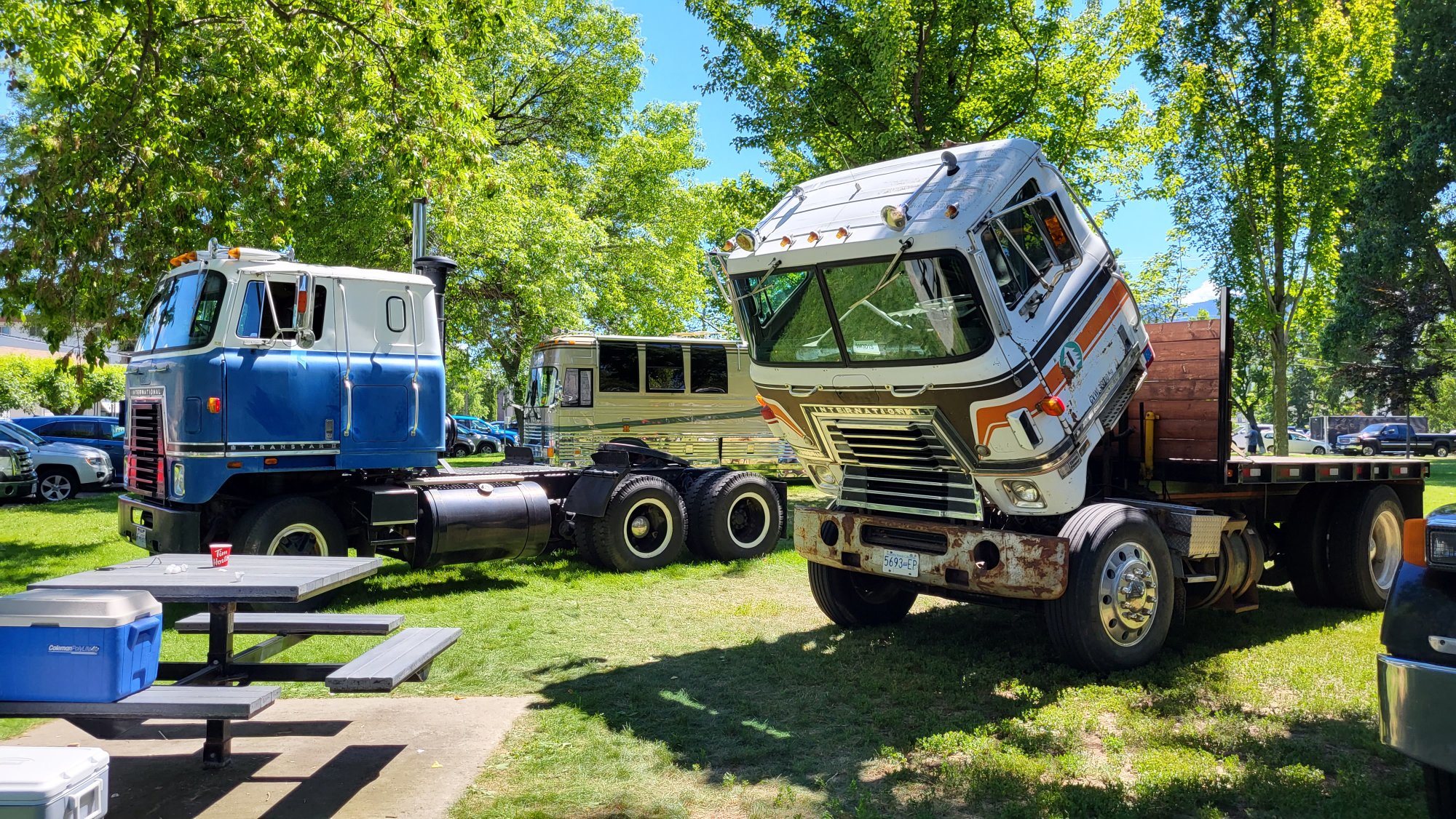 Solve International cabovers jigsaw puzzle online with 220 pieces