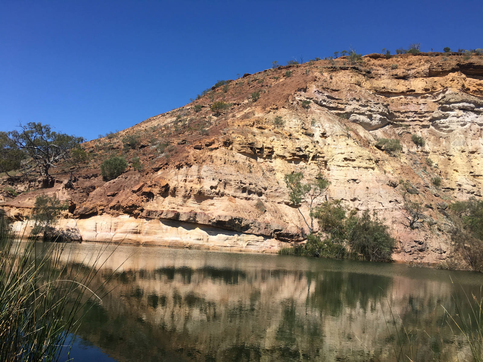 Solve Ellendale Pool # 19 WIRB jigsaw puzzle online with 336 pieces