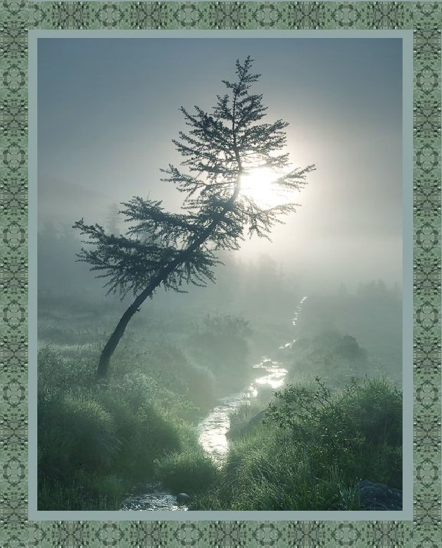 Solve Light in the Mist jigsaw puzzle online with 120 pieces