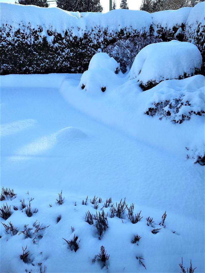 Solve EVEN THE SNOW MONSTERS HAD TO WADE THROUGH 3 FOOT OF SNOW - 2 OF ...