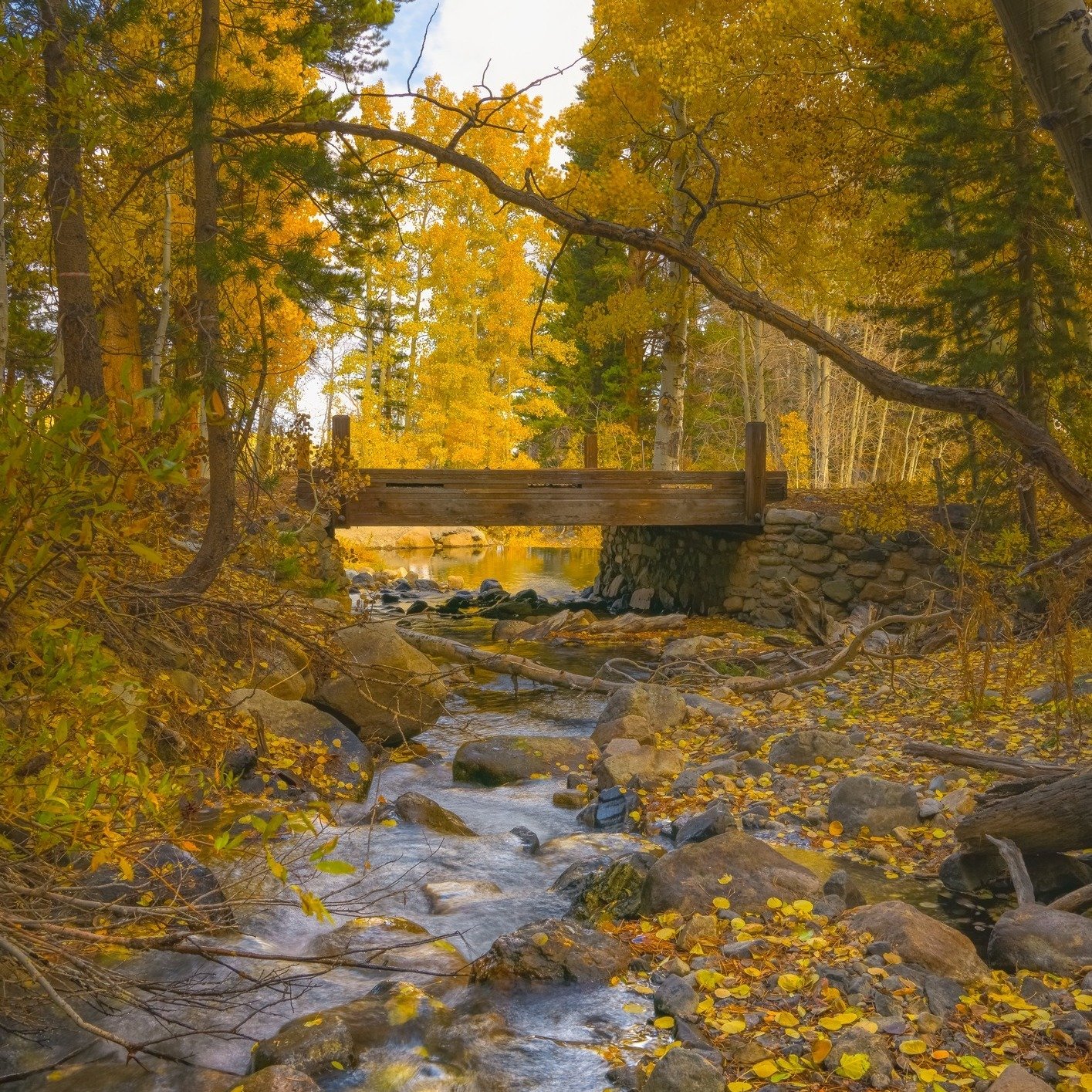 Solve Bridge in fall colors jigsaw puzzle online with 100 pieces