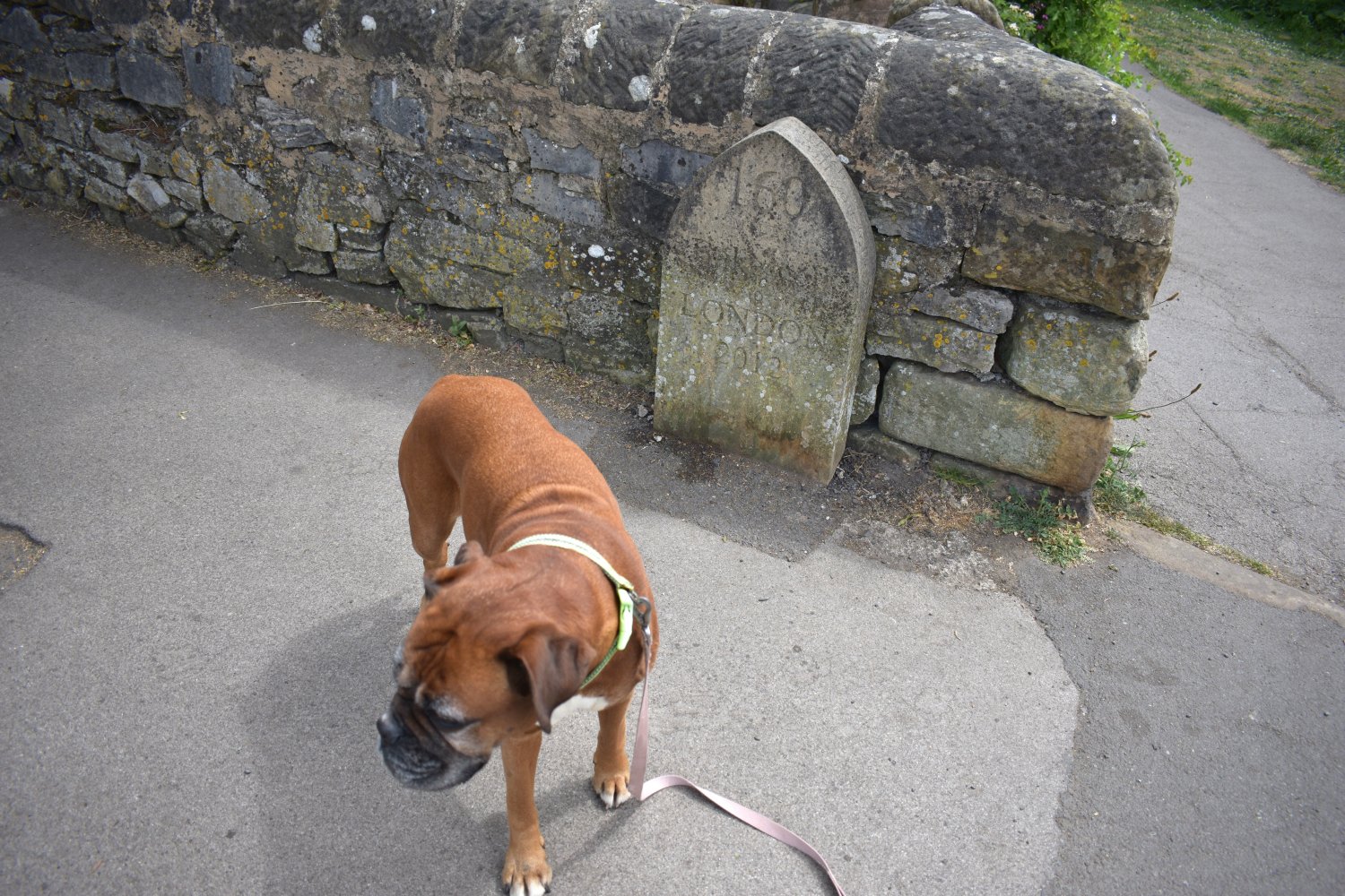 Solve This should be a good walk, only 160 miles to go. jigsaw puzzle ...