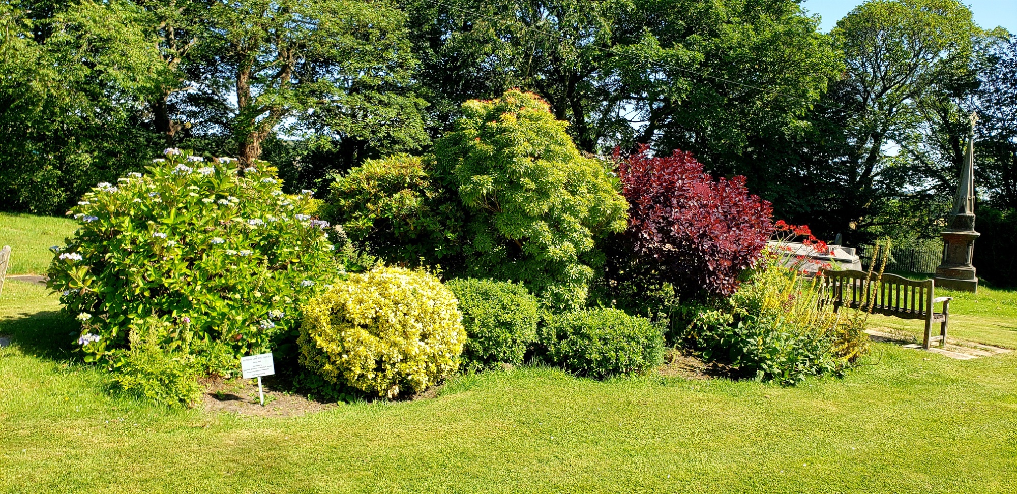 Solve A Collection of Different Types of Bushes jigsaw puzzle online ...