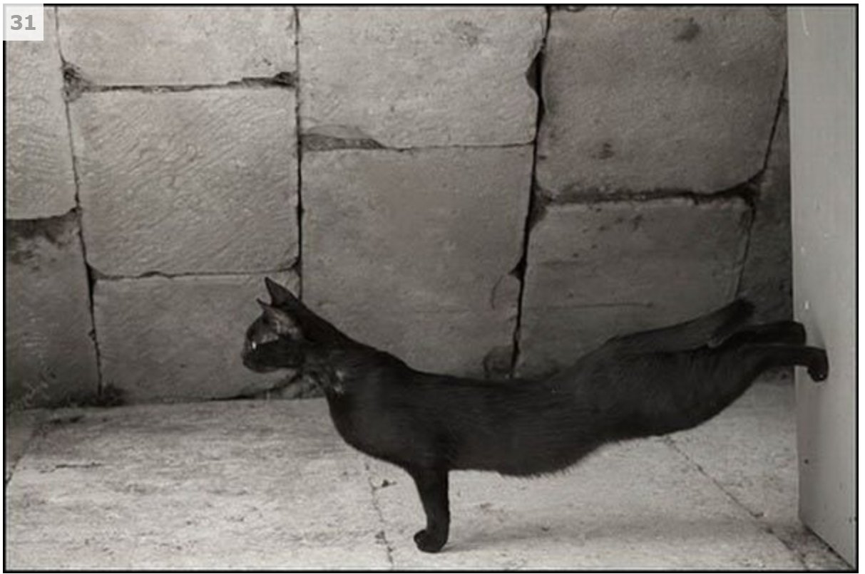 Solve Advanced Push-ups! jigsaw puzzle online with 15 pieces