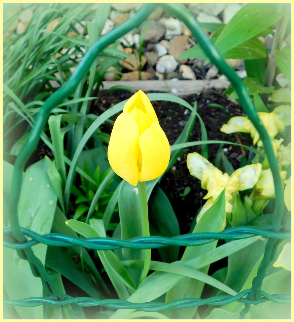 Solve Jarní.... jigsaw puzzle online with 30 pieces