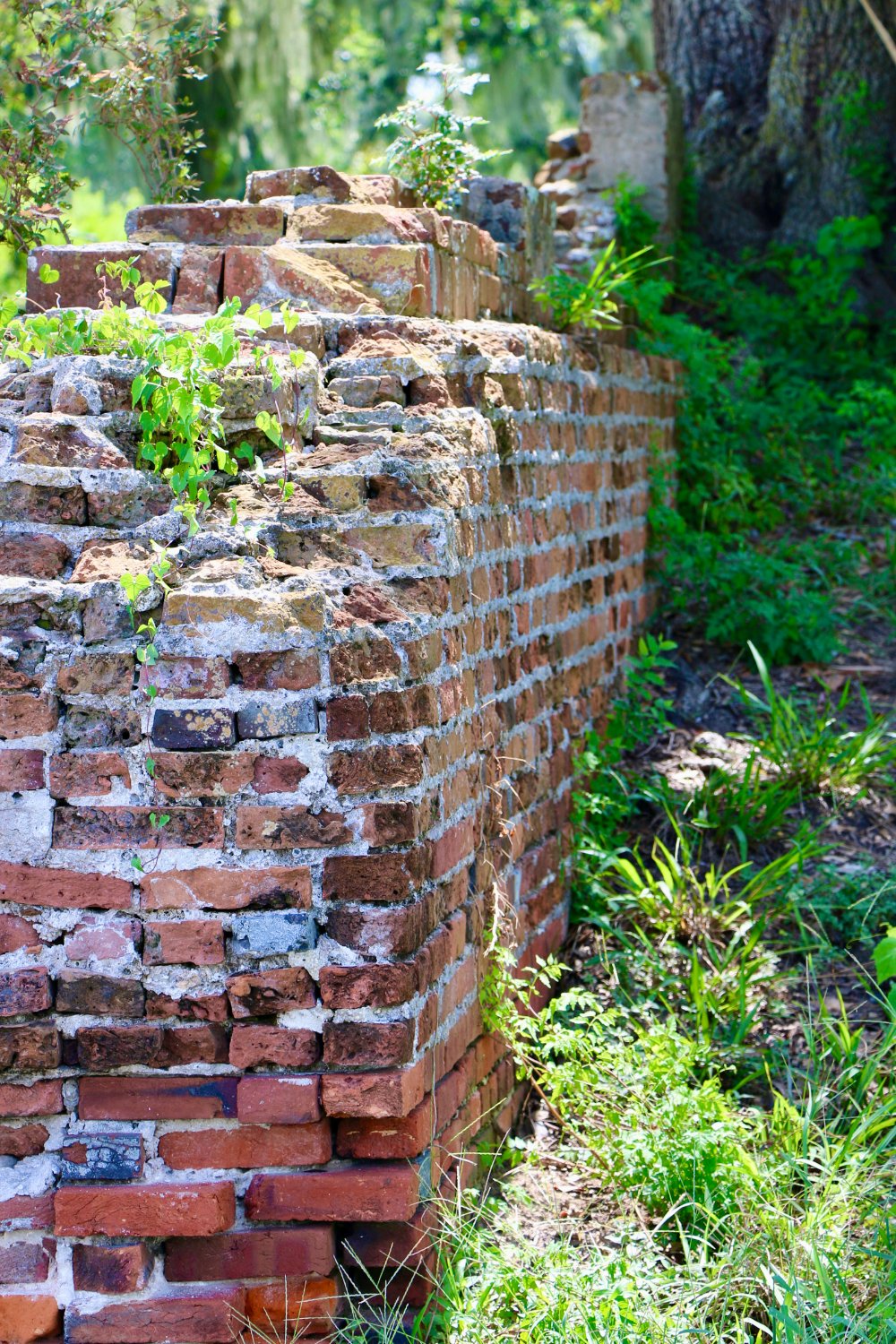 Solve Ft. Jackson Masonry Wall jigsaw puzzle online with 247 pieces