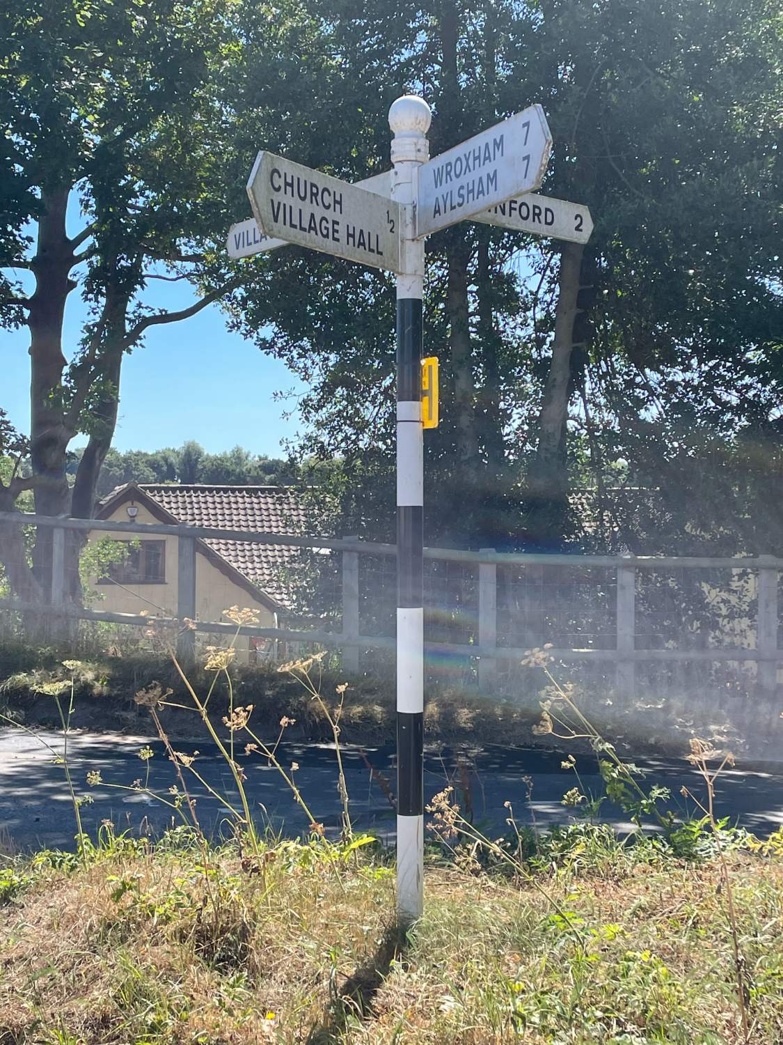 Solve Which way now? jigsaw puzzle online with 154 pieces