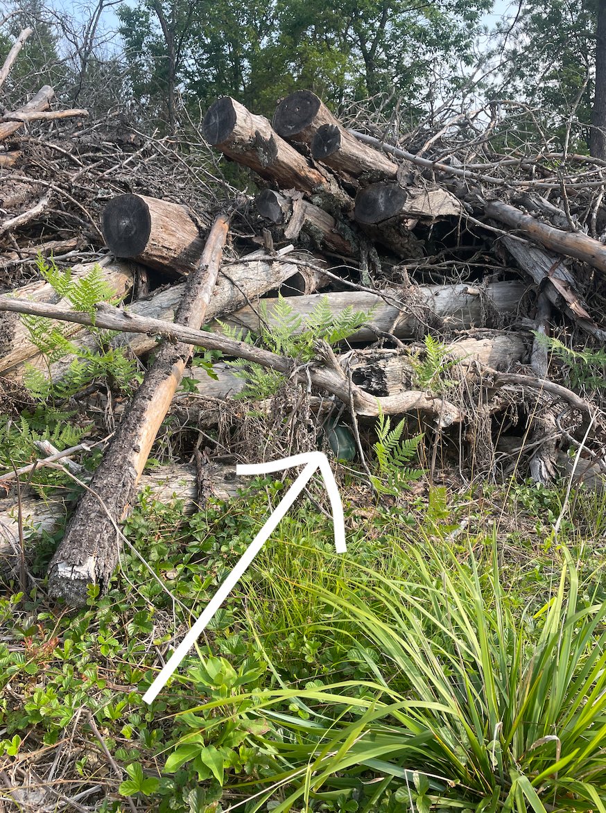 Jigsaw Puzzle | 48 pieces | Barney's Log Pile | Jigidi