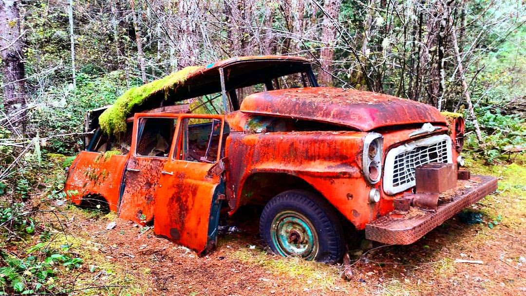 Solve Mossy car in the forest jigsaw puzzle online with 112 pieces