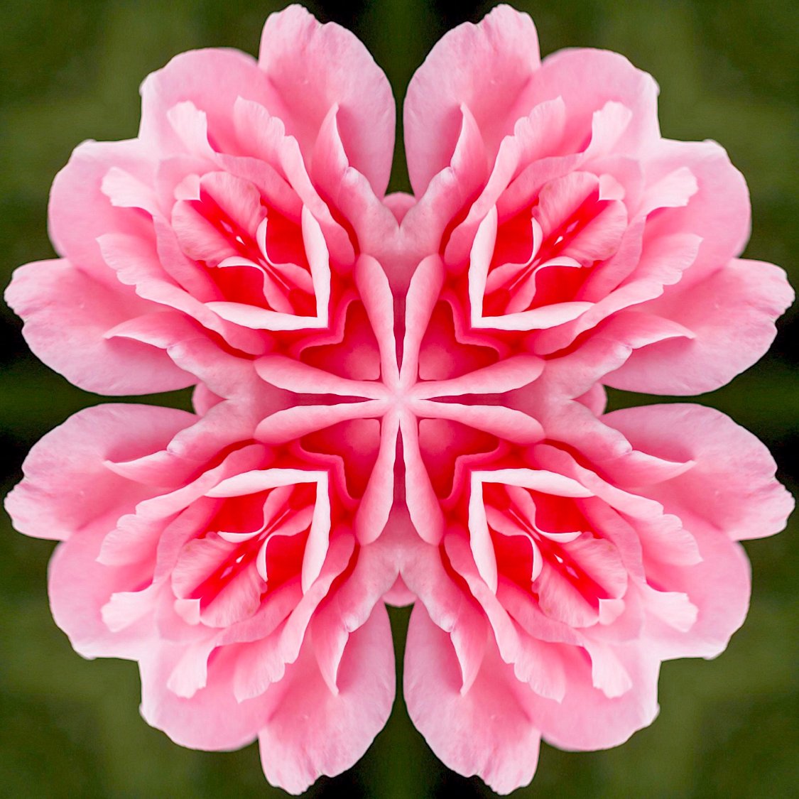 Solve #1 very small jigsaw puzzle online with 25 pieces