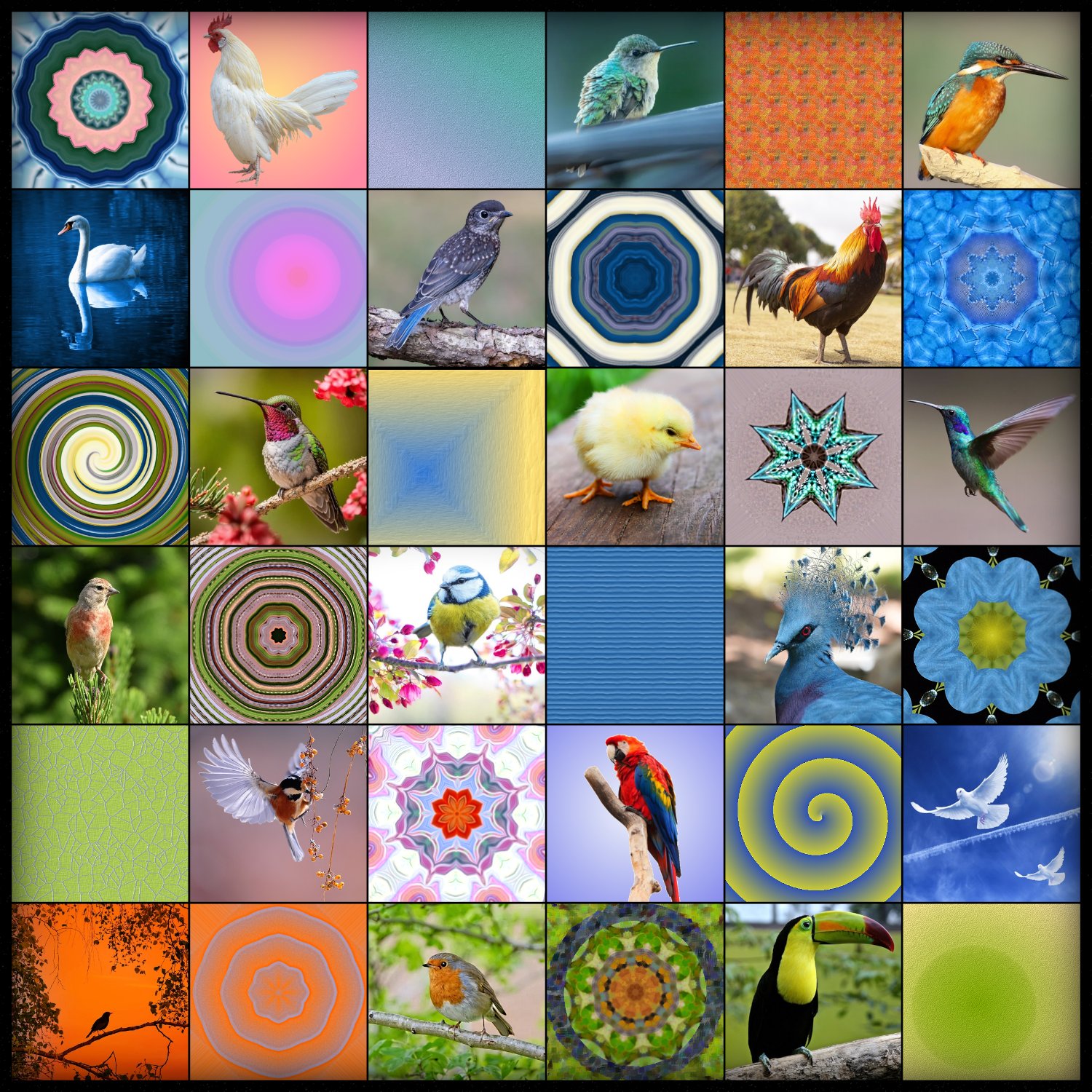 Solve Bird Squares Combined jigsaw puzzle online with 400 pieces