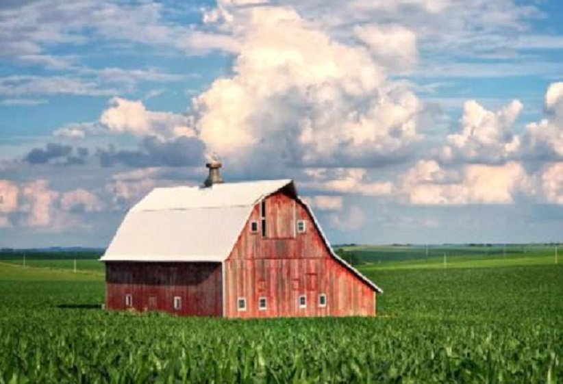 Solve Kansas Barn and corn field jigsaw puzzle online with 117 pieces
