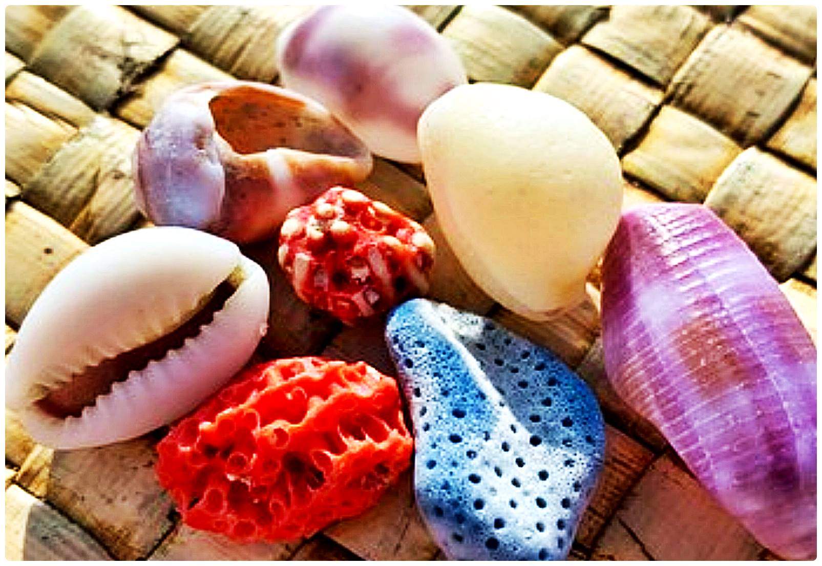 Solve Colourful Sea Shells jigsaw puzzle online with 294 pieces
