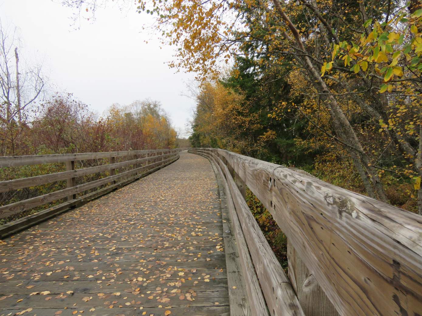 Solve Lochside Trail jigsaw puzzle online with 35 pieces