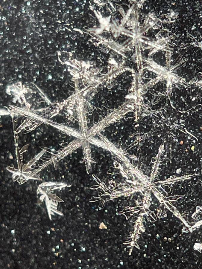 Solve Snowflake jigsaw puzzle online with 48 pieces