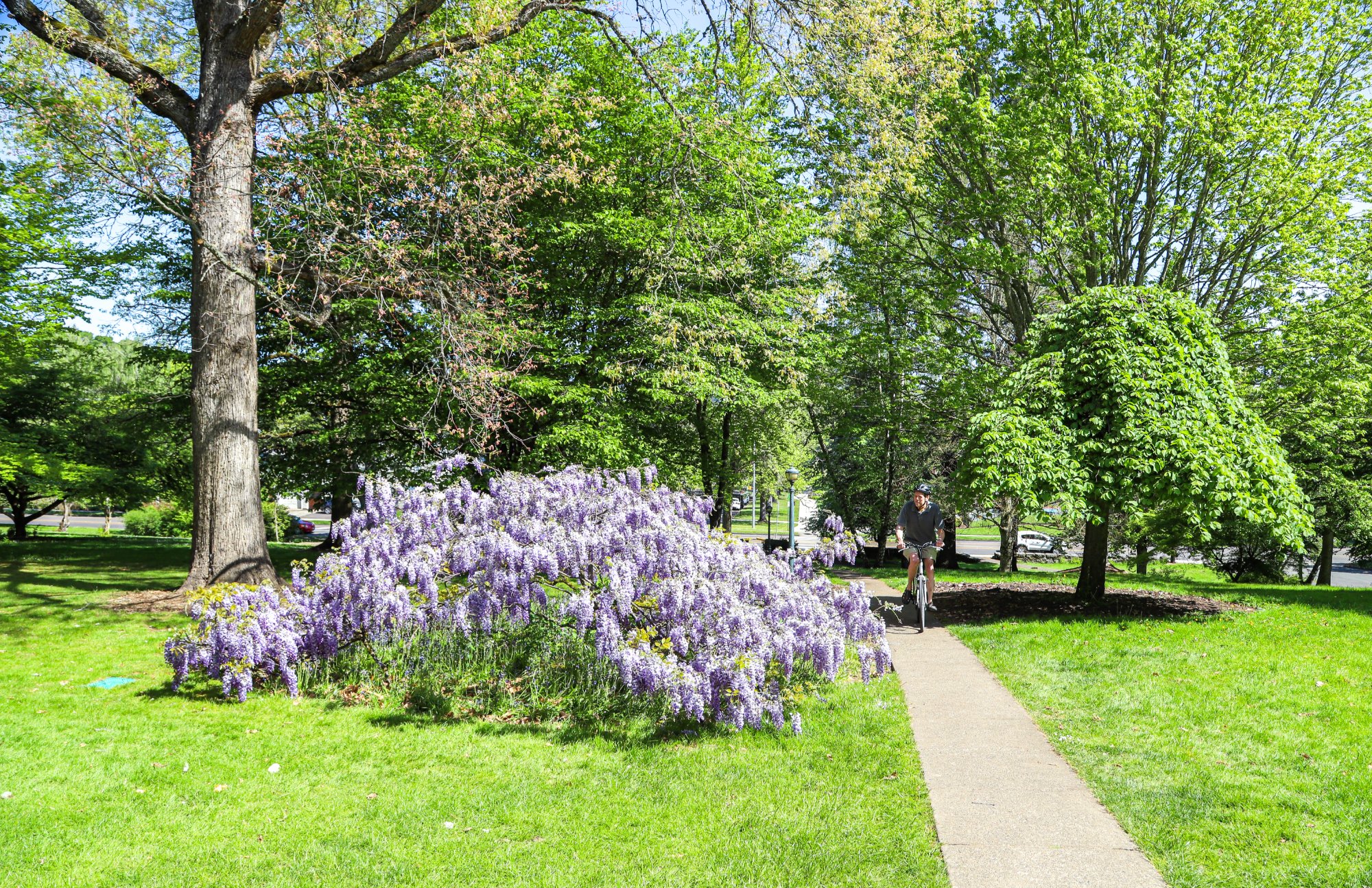Solve SPRING IN SALEM jigsaw puzzle online with 77 pieces