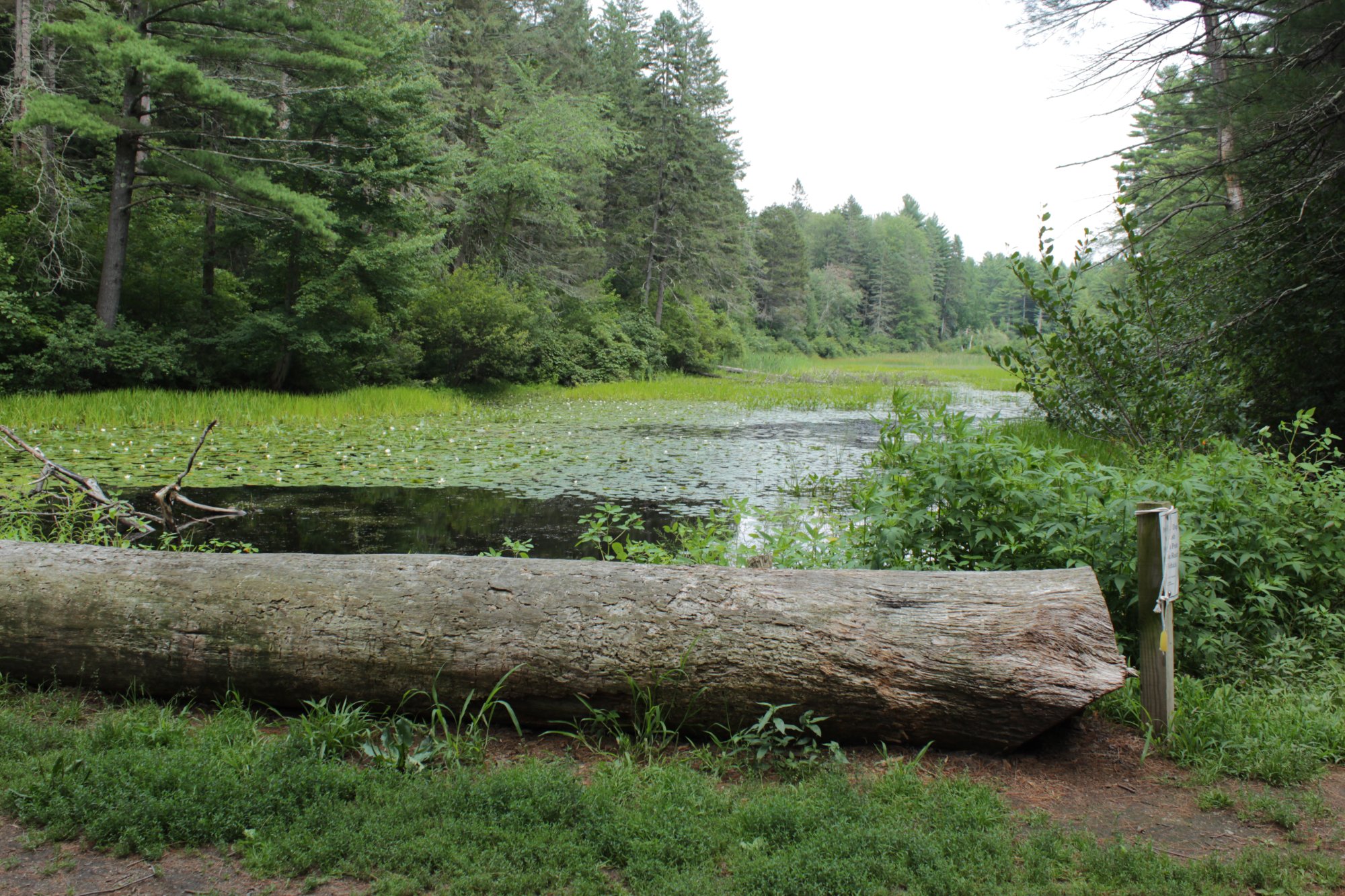 Solve Welcome to Groton Place! jigsaw puzzle online with 117 pieces