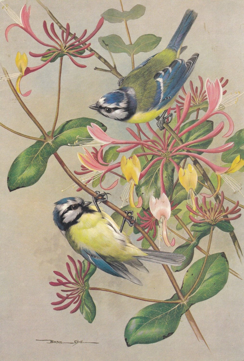 Solve basil ede art (resize 12 to 450) jigsaw puzzle online with 77 pieces