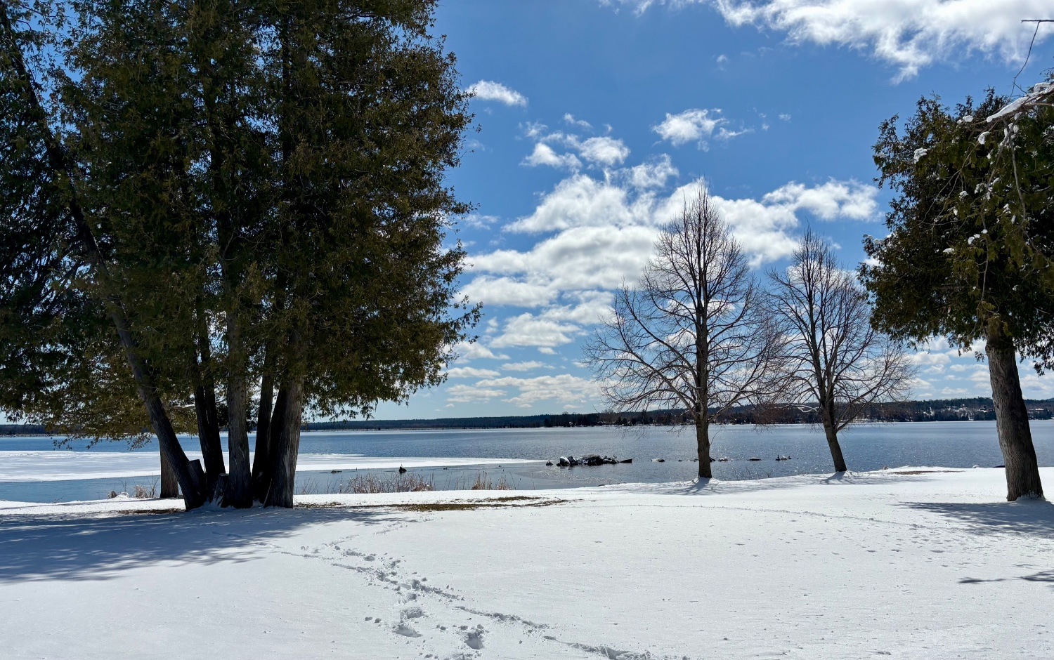 Jigsaw Puzzle | 12 pieces | Spring is here | Jigidi