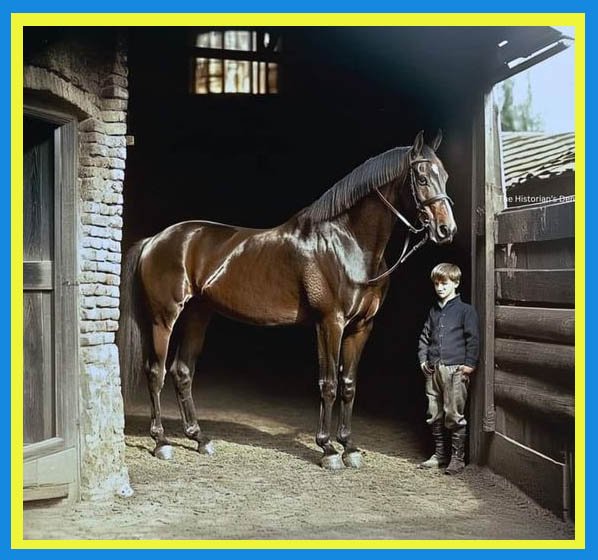 Solve Potoooooooo jigsaw puzzle online with 72 pieces