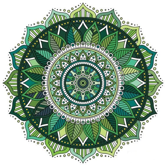 Solve P 486 jigsaw puzzle online with 81 pieces