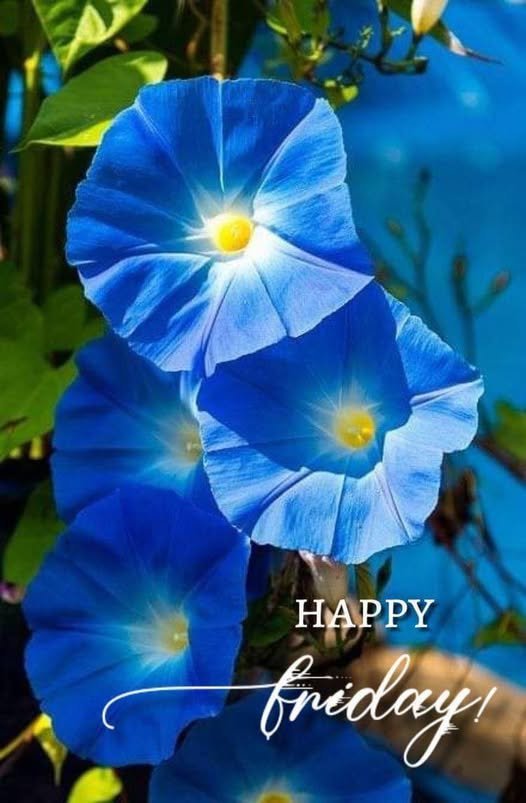 Solve Good Morning - Happy Friday! jigsaw puzzle online with 70 pieces