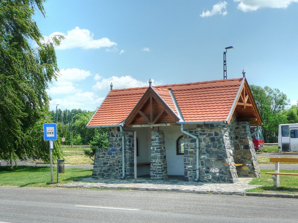 Solve Bus Stop in Hungary jigsaw puzzle online with 63 pieces