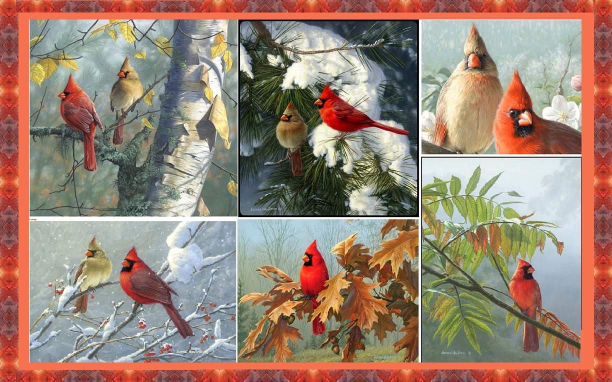 Solve Cardinals jigsaw puzzle online with 126 pieces
